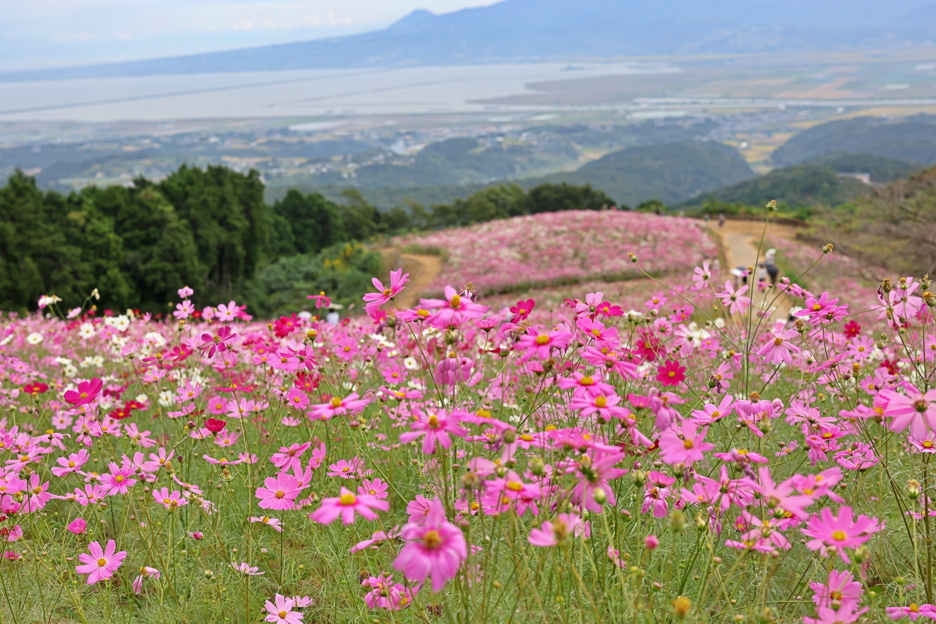 10月は「二世帯住宅づくり相談会」 | 佐世保市二世帯住宅・多世帯住宅｜HALC Design ハルクデザイン