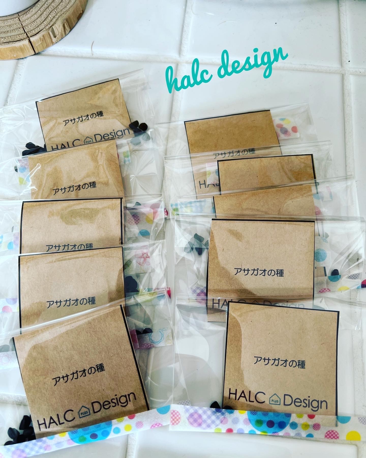 朝顔の種まき♪ | 佐世保市二世帯住宅・多世帯住宅｜HALC Design ハルクデザイン