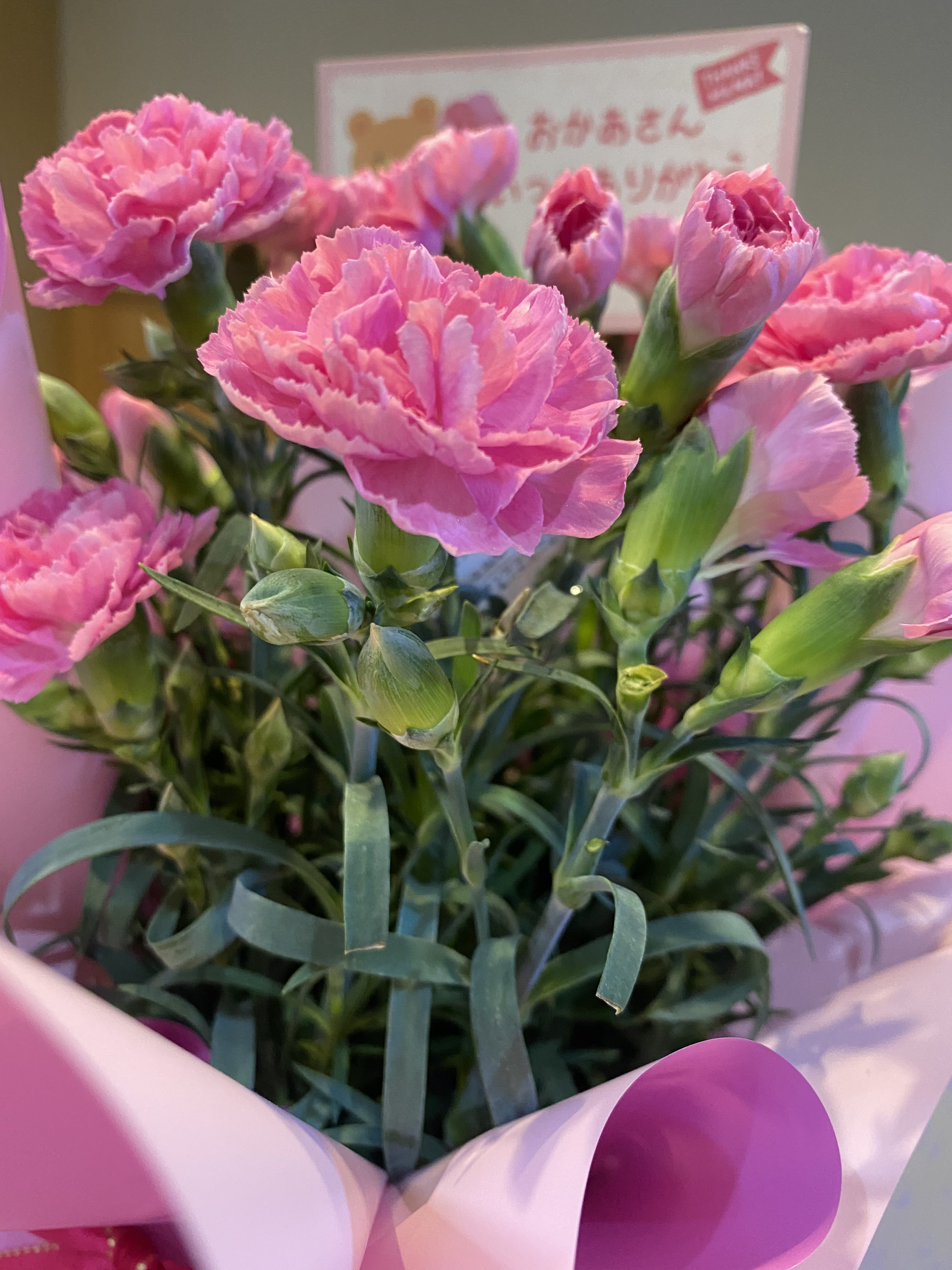 母の日のカーネーション | 佐世保市二世帯住宅・多世帯住宅｜HALC Design ハルクデザイン